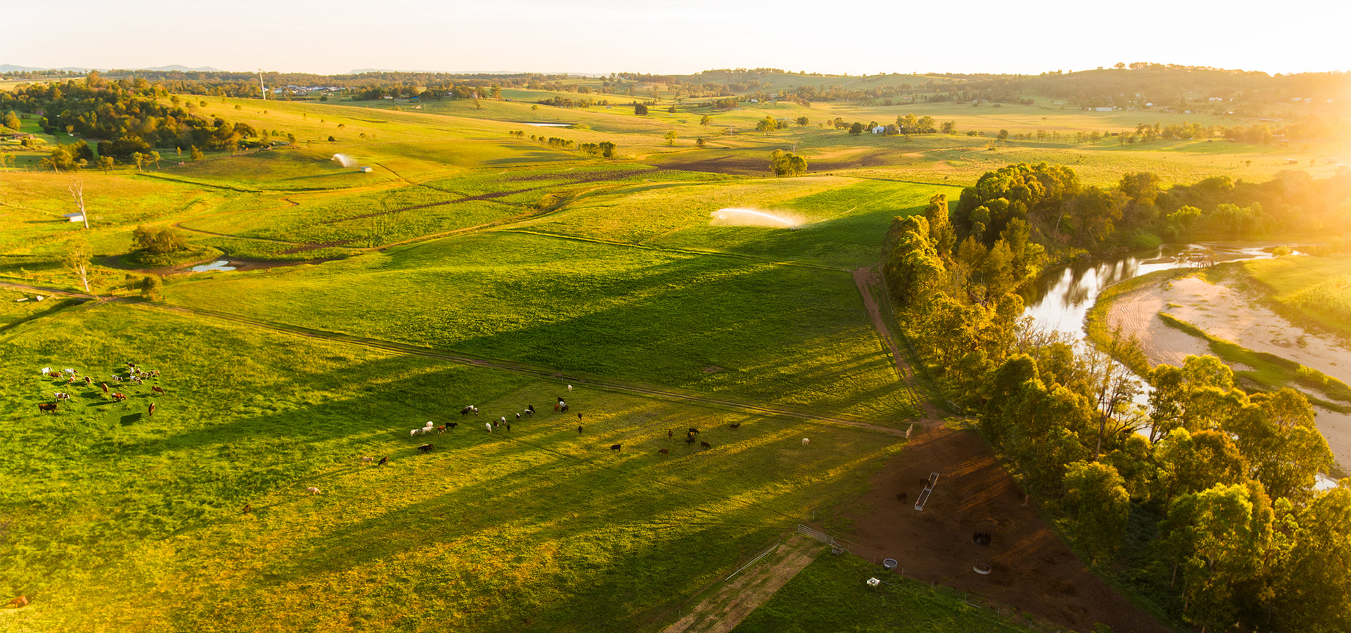 River Bend Meats - Quality meat from paddock to plate